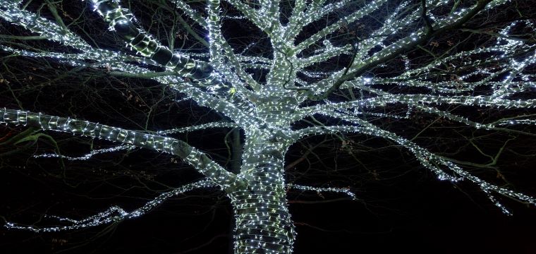 San Antonio Botanical Garden