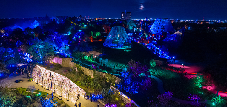 Lightscape | San Antonio Botanical Garden